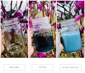 Butterfly Pea Flower Tea - Charged Magazine