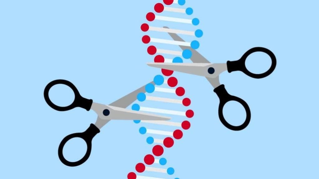 Understanding the Use of CRISPR in Humans - Charged Magazine