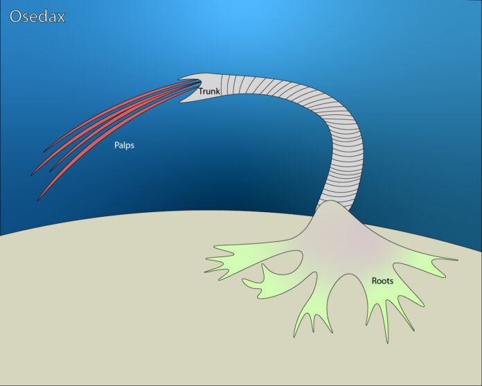 The Undersea Bone Devourer - Charged Magazine