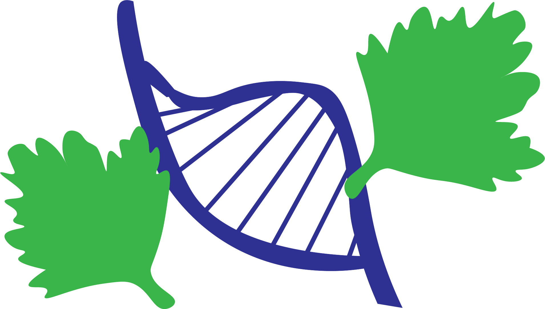 The Cilantro Controversy: A Scientific Look - Charged Magazine