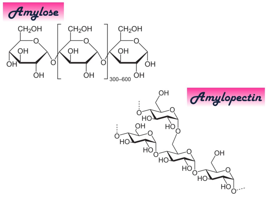 The Science of Baking Pt. 1 - Charged Magazine