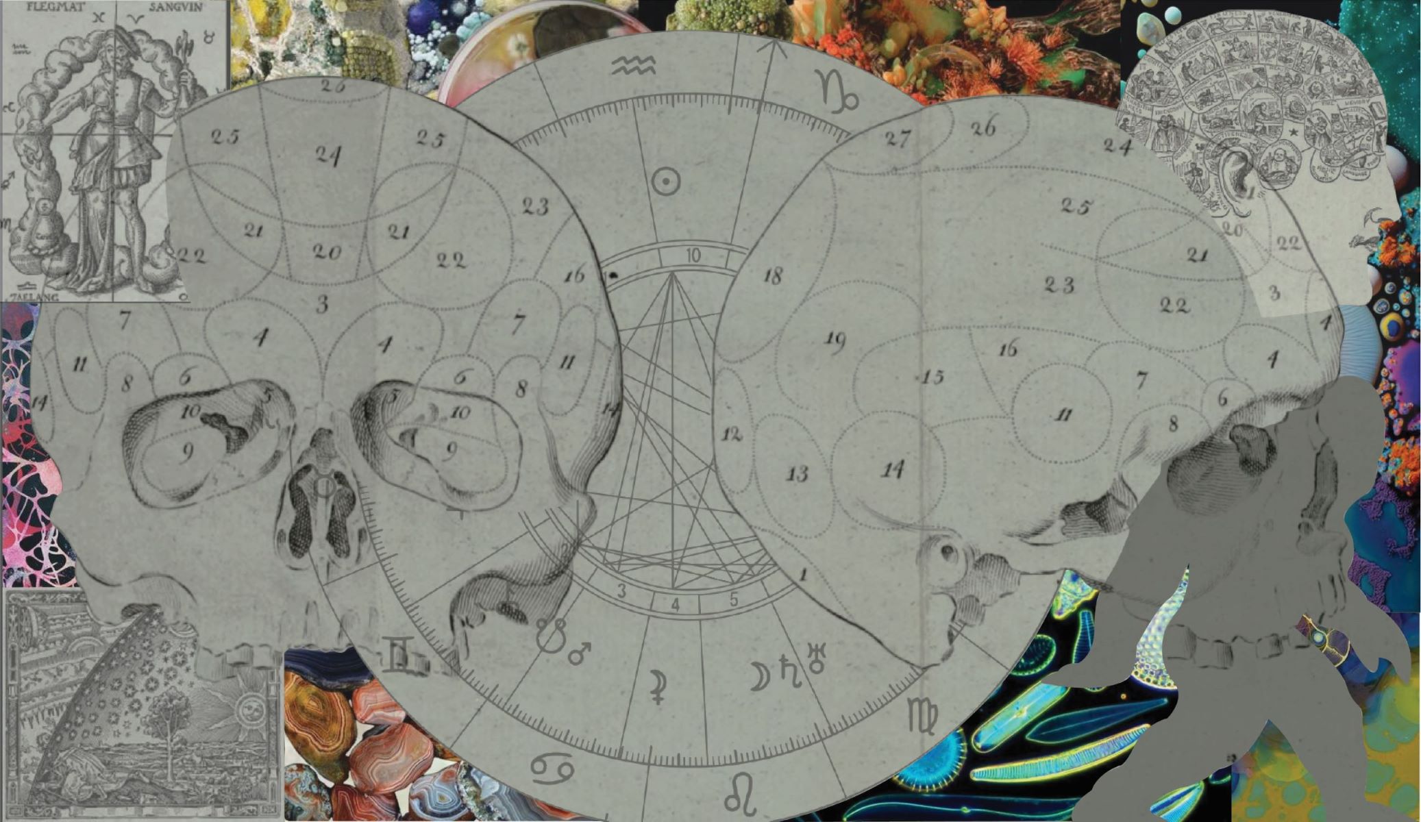 How Can Science be Distinguished From Pseudoscience? - Charged Magazine